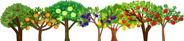10 fruit trees that grow well in the Oklahoma climate - Tahlequah Lawn Care